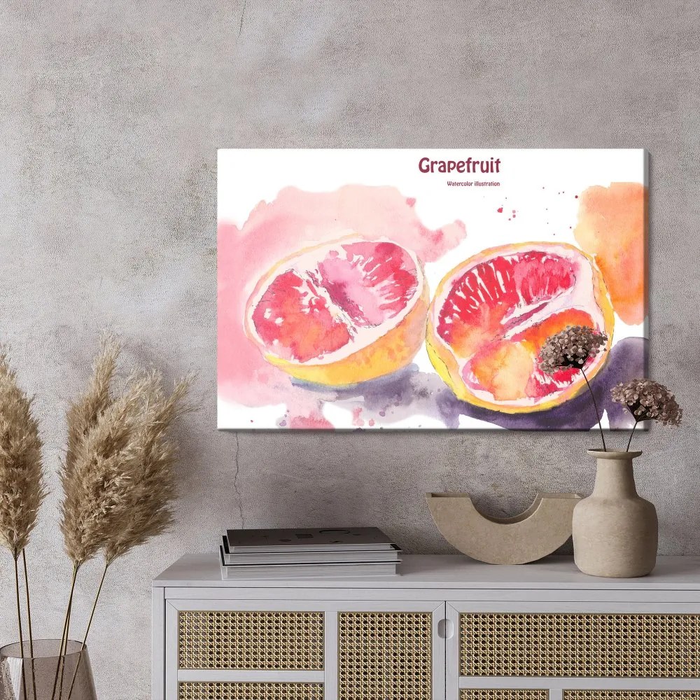 Obraz Grapefruit Malovaný Akvarelem Nedostatek Nedostatek Přírodní plátno 90x60