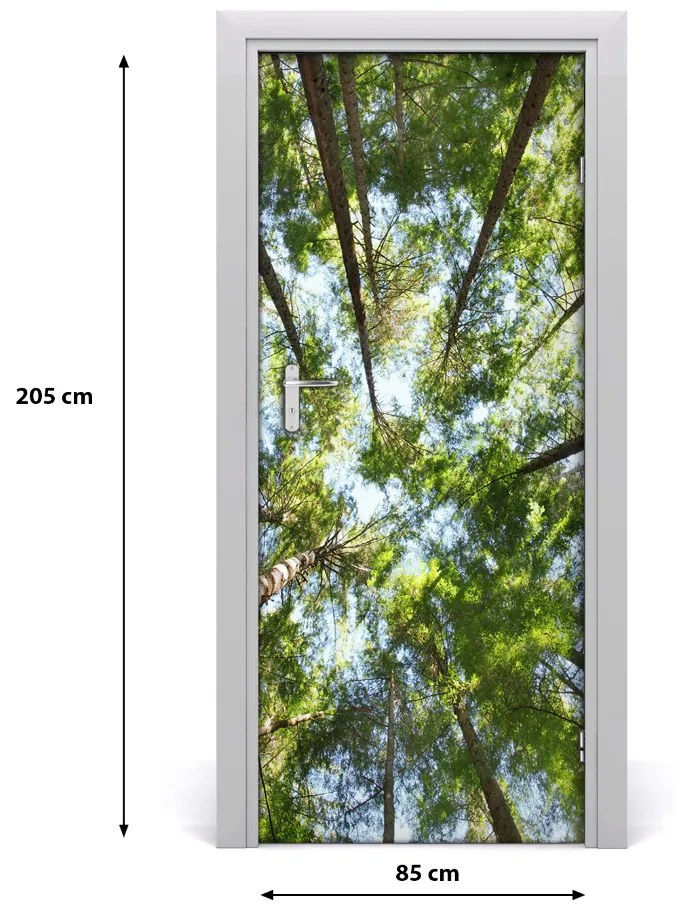 Fototapeta na dveře samolepící koruna stromů 85x205 cm