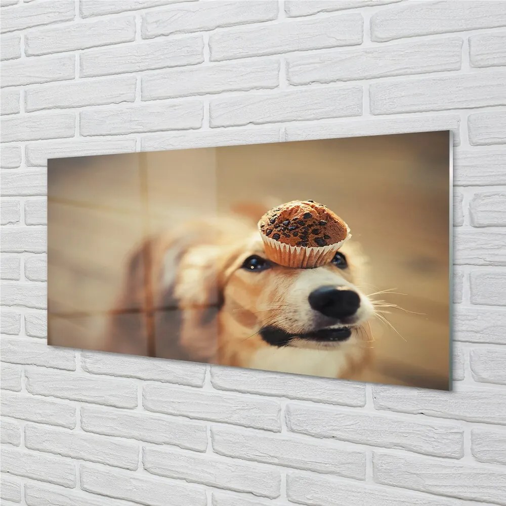 Obraz na skle dog bun 100x50 cm