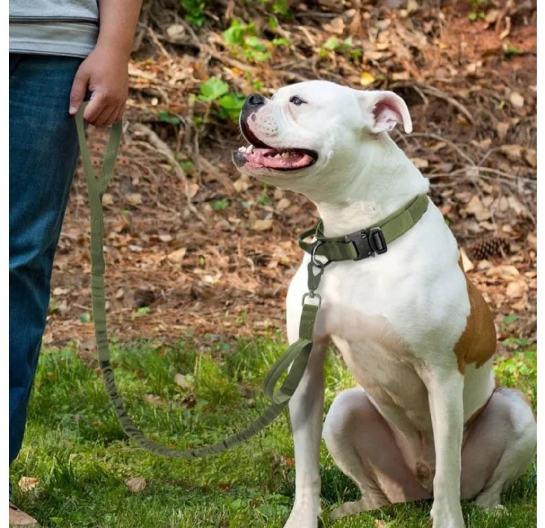 Camerazar Silné taktické vodítko pro psy s rukojetí zelené nylonové lano