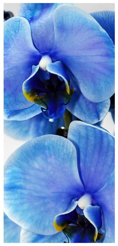 Fototapeta na dveře - Modrý květ (95x205cm)