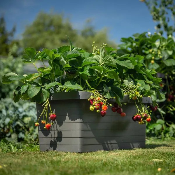 Samozavlažovací velkoobjemový truhlík Berberis DUO antracit 80 cm
