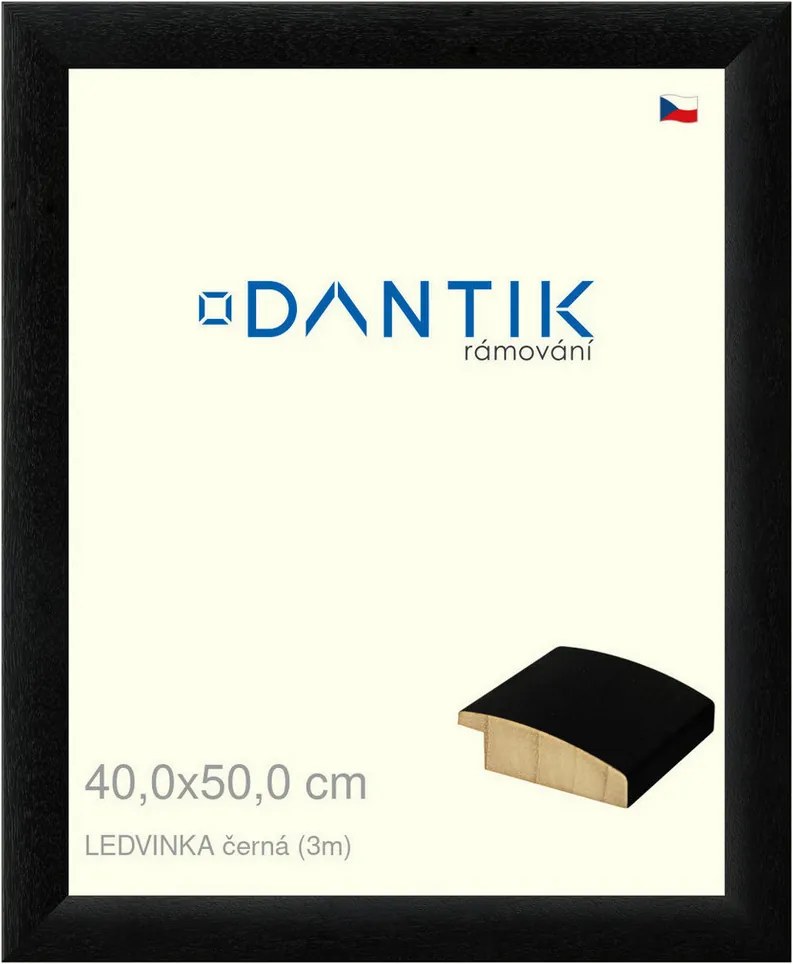 DANTIK rámeček 40x50 | LEDVINKA černá (Sklo Čiré)