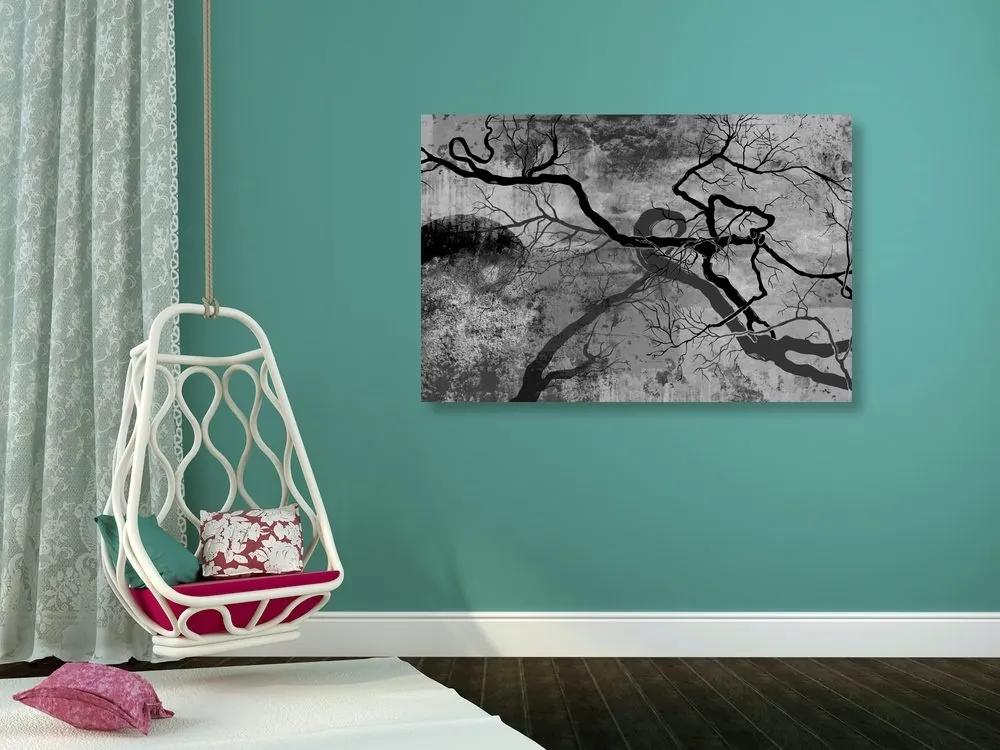 Obraz surrealistické stromy v černobílém provedení - 60x40 cm