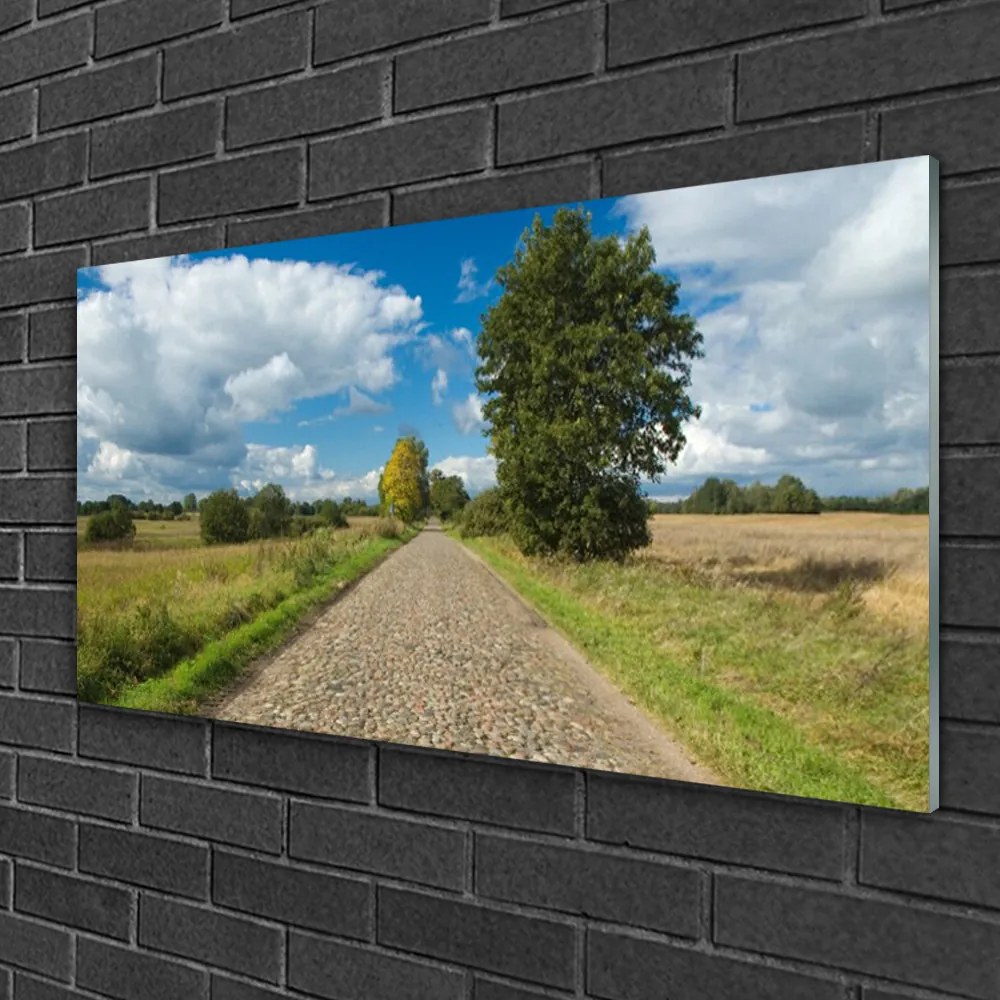 Obraz na skle Vesnice Cesta Dlažba Krajina 120x60 cm