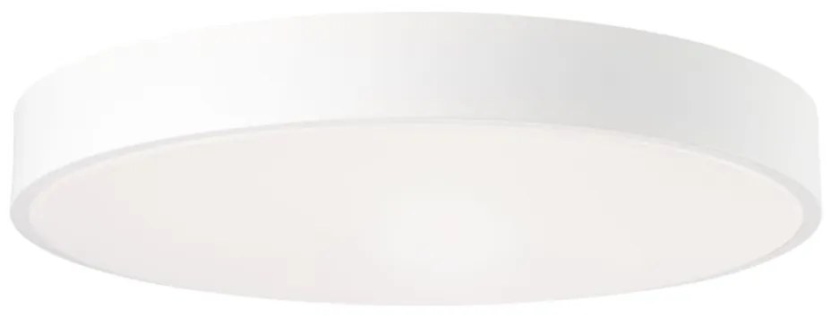 Brilliant - LED Stm stropní svítidlo SLIMLINE LED/60W/230V pr. 49 cm bílá + DO