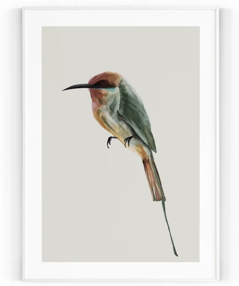 Obraz Bird Bez okraje 30 x 40 cm - napnuté plátno na dřevěném rámu