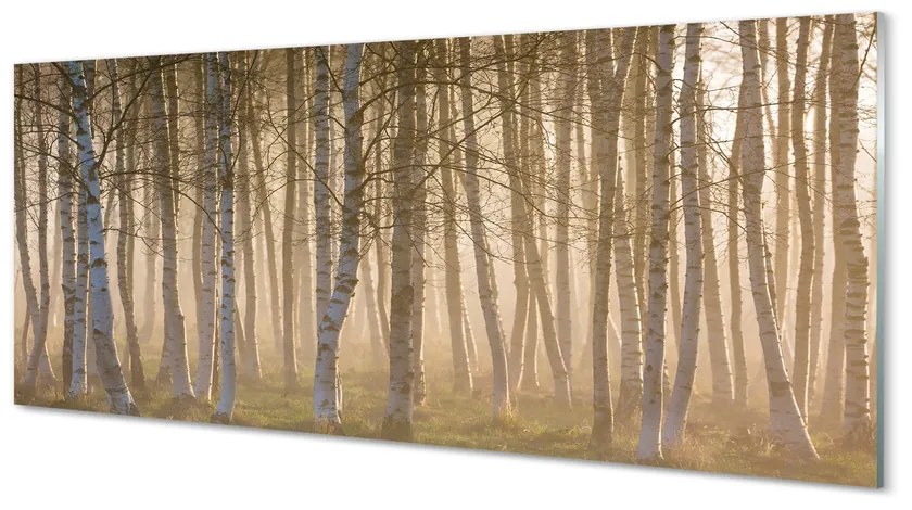 akrylový obraz Sunrise strom les 120x60 cm