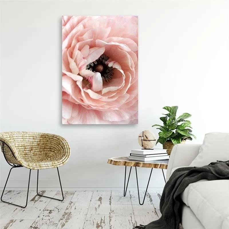 Obraz na plátně Pivoňka Květy růžové - 80x120 cm