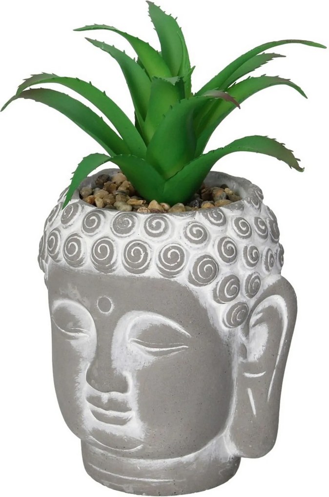 Dekorace Aloe Buddha 17cm