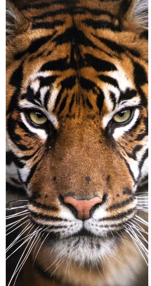 Jerry Fabrics osuška Tygr 70x140 cm