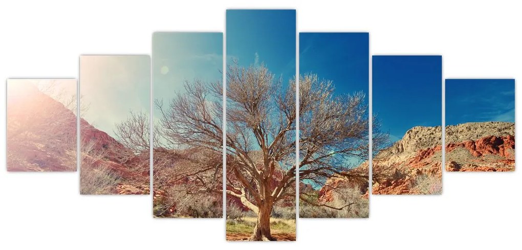 Obraz stromu v poušti (210x100 cm)