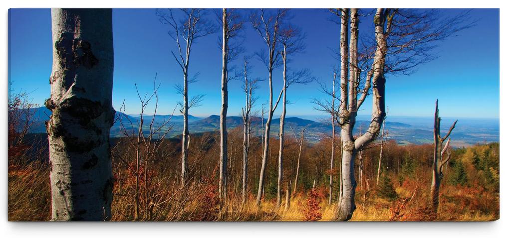Malvis ® Obraz Cestou z Lysé hory Velikost (šířka x výška): čtverec - 80x80 cm