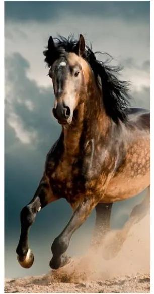 Bavlněná froté osuška HORSE 70x140 cm vícebarevná