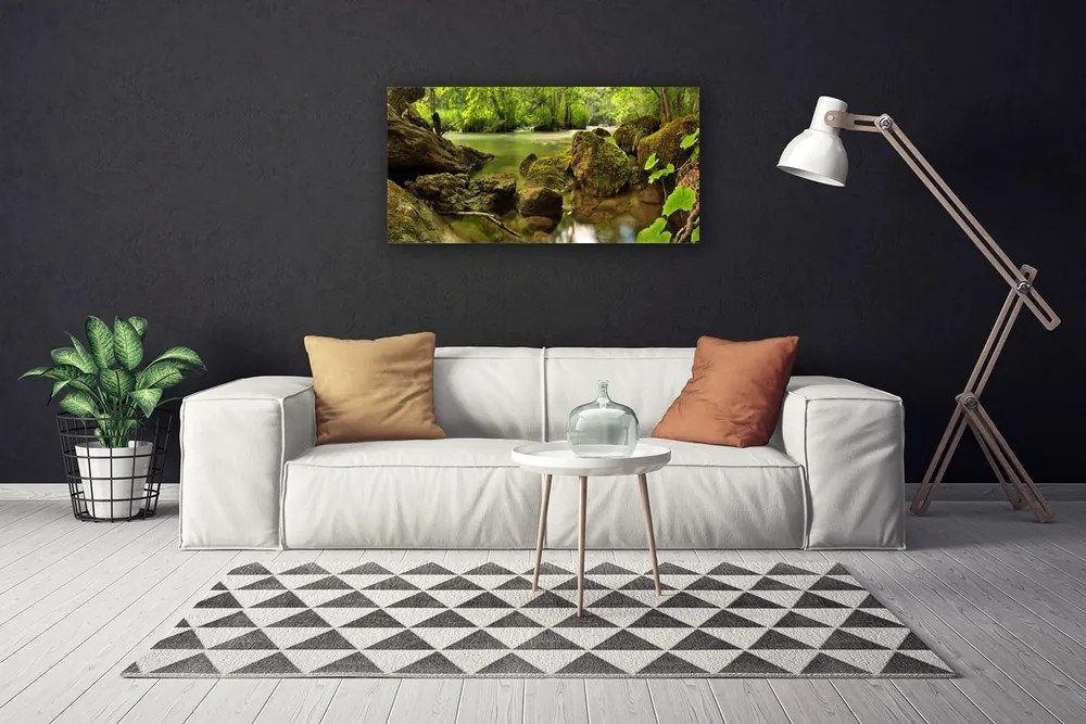 Obraz na plátně Skála Jezero Příroda 100x50 cm