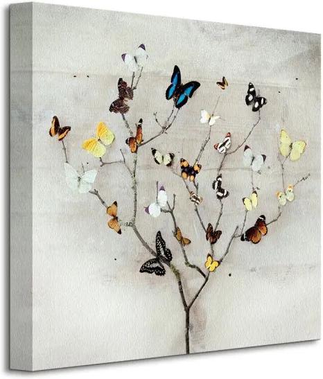 Obraz na plátně Strom motýlů Winstanley Ian 40x40cm WDC95185