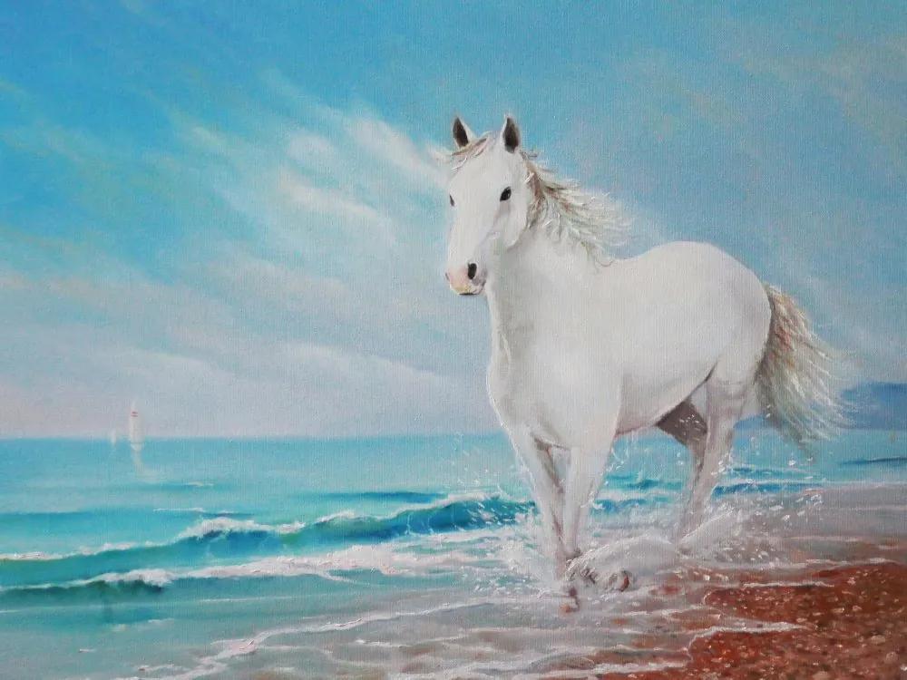 Obraz Bílý Kůň Na Pobřeží Nedostatek Nedostatek Přírodní plátno 90x60