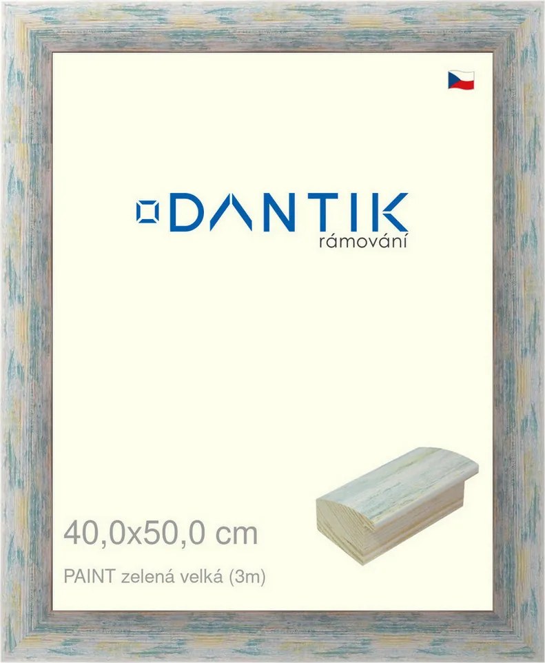DANTIK rámeček 40x50 | PAINT zelená velká (Plexi Čiré)