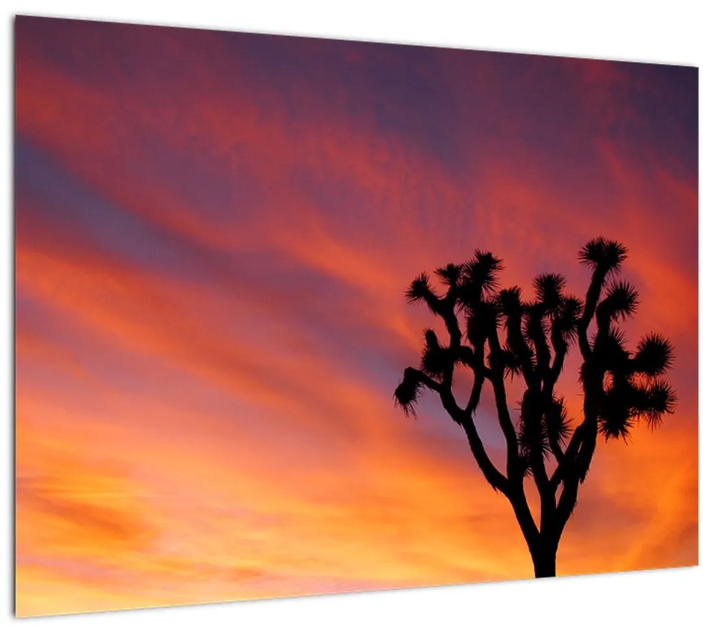 Obraz západu slunce nad siluetou stromu (70x50 cm)