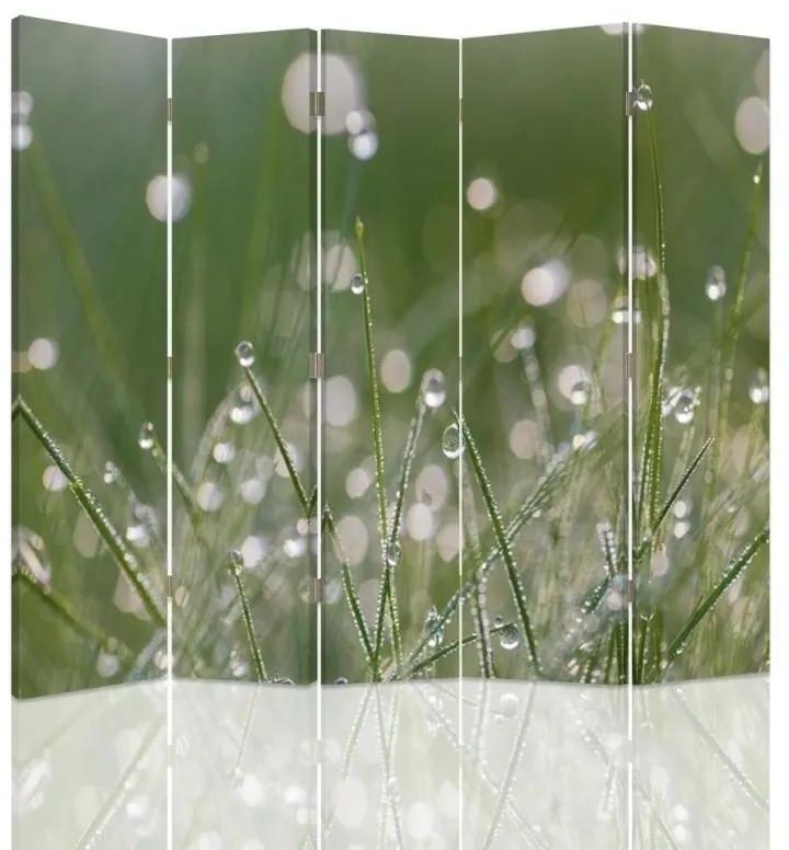 Ozdobný paraván, Kapky rosy na trávě - 180x170 cm, pětidílný, klasický paraván