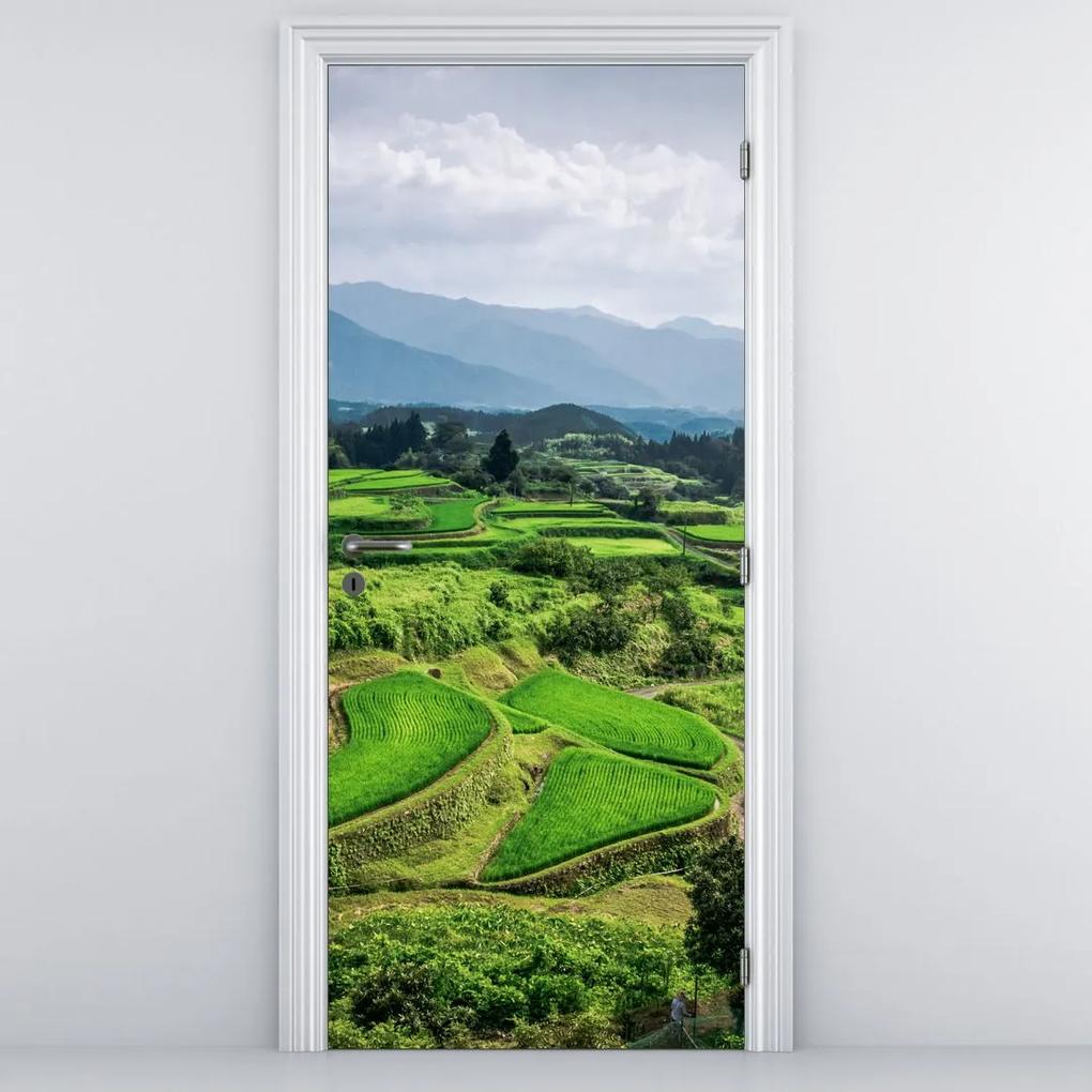 Fototapeta na dveře - Rýžová pole (95x205cm)