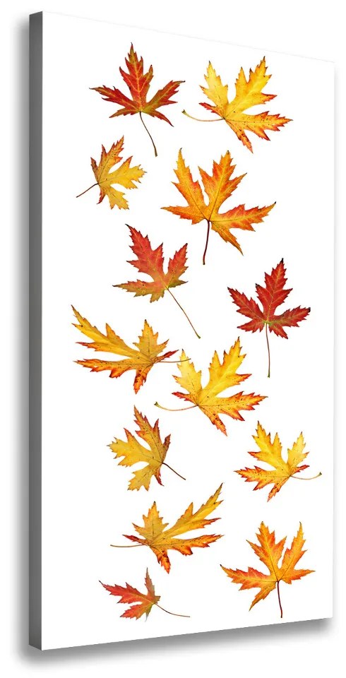 Wallmuralia Vertikální Foto obraz na plátně Podzimní listí 50x100