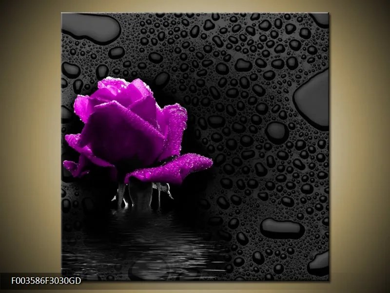 Obraz fialové růže  (), 40 dalších rozměrů