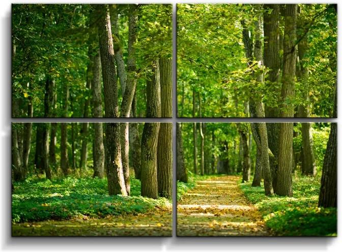 4- dílný obraz 140x100 - Cesta zeleným lesem - Sablo.cz