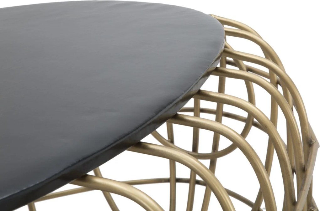 Konferenční stolek Mauro Ferretti Spider 119x75x55 cm, zlatá/černá