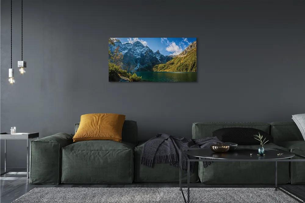 Obrazy na plátně jezírka salašnický 100x50 cm