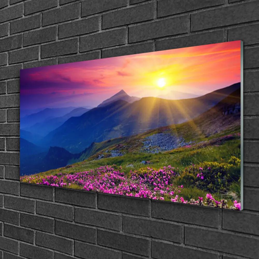 Obraz na skle Hory Květ Louka Krajina 125x50 cm