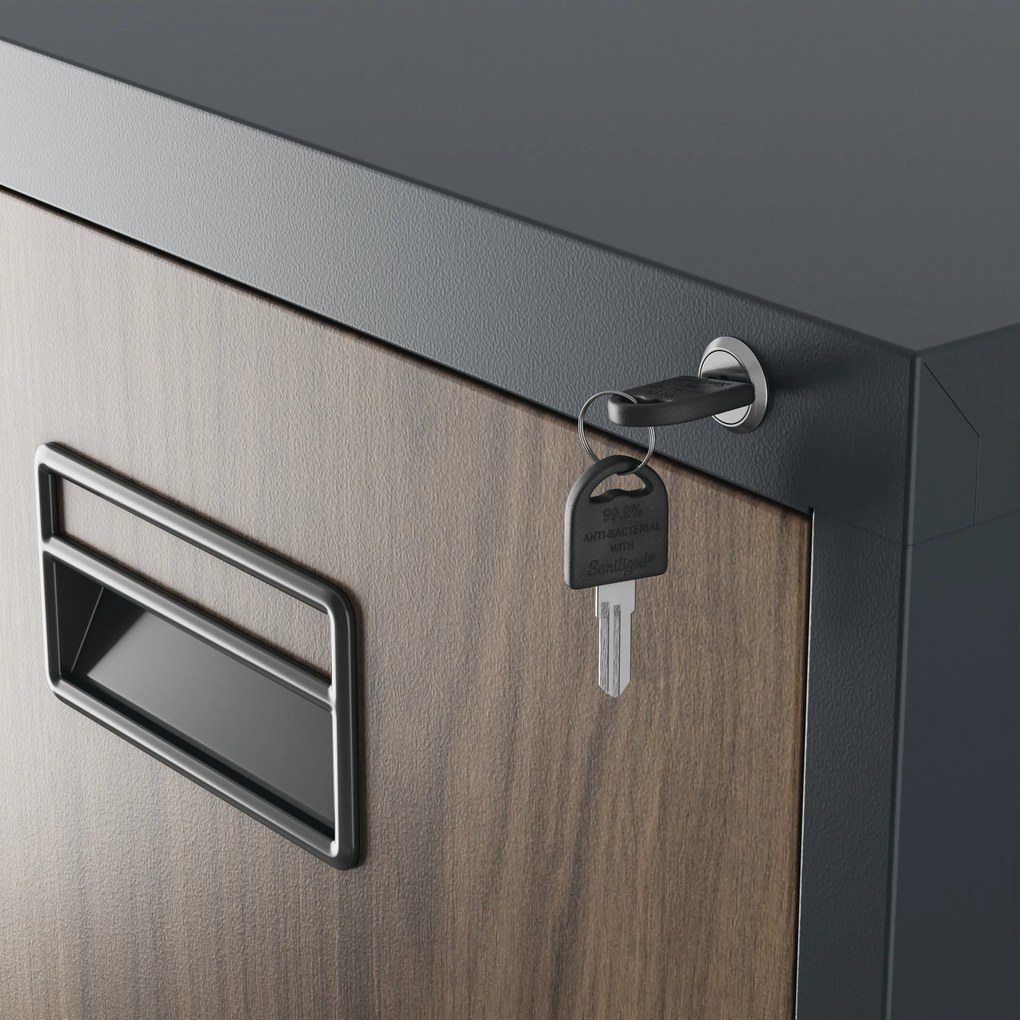 Kovová kartotéková skříň se 4 zásuvkami, antracit/ořech, 460x1320x620 mm: SARA Eco Design