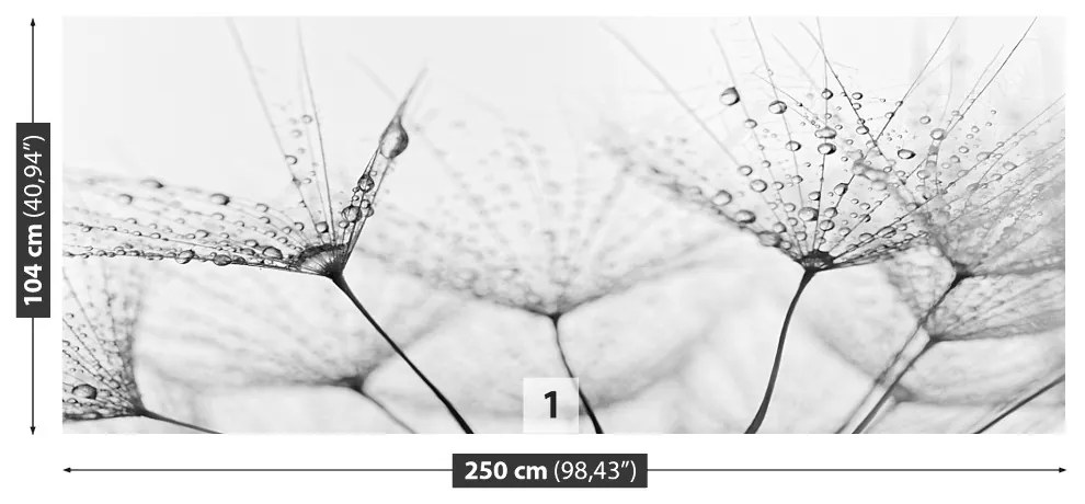 Fototapeta Pampeliška, kapky 104x70