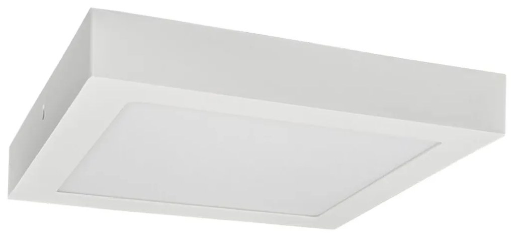 Greenlux LED Stropní svítidlo FENIX LED/24W/230V 3800K 29,8 cm GXDW255