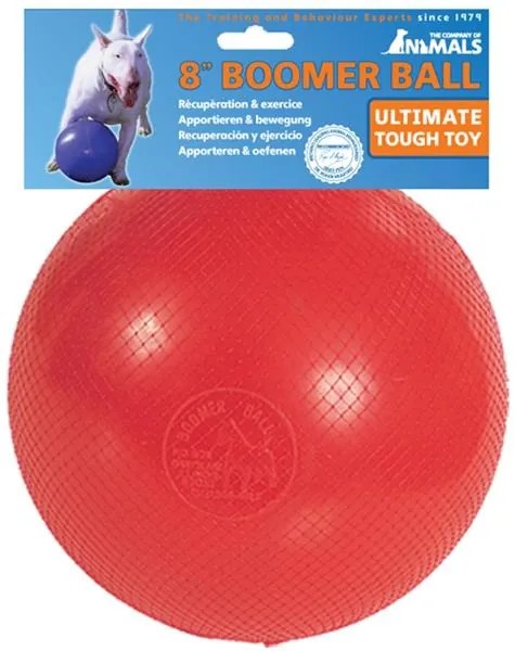 Hračka plast Míč Boomer Ball 20 cm COA