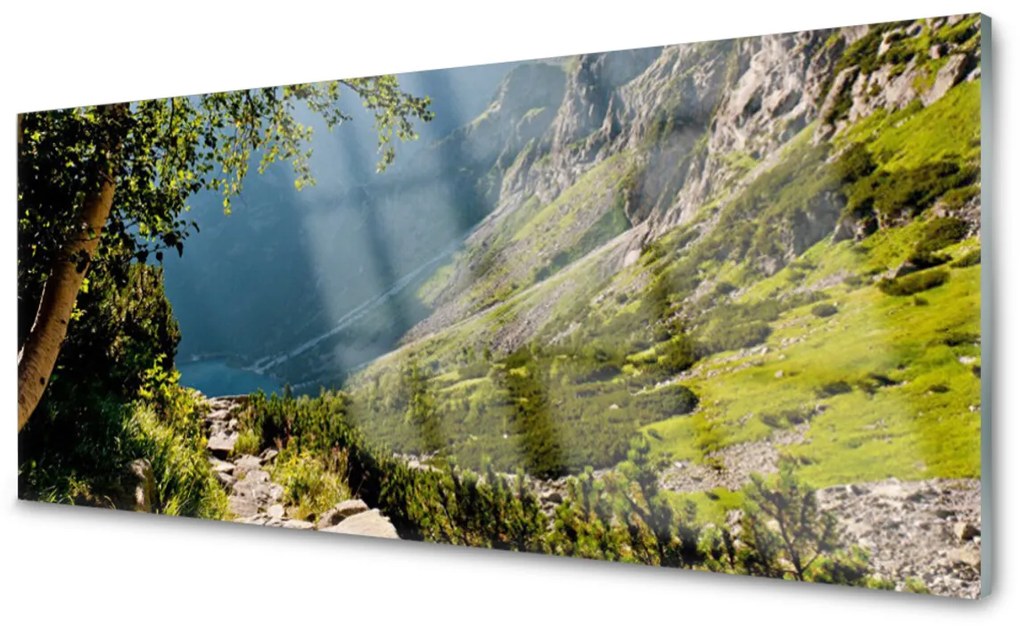 Skleněný obraz Skleněný Hora Les Příroda