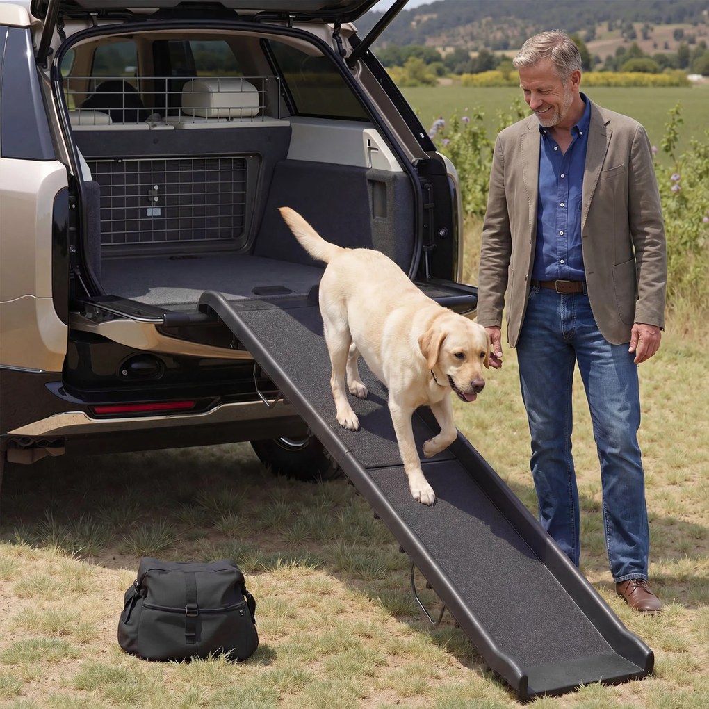 Rampa pro psa Wiltec – 155 × 40 cm, 90 kg (65965)