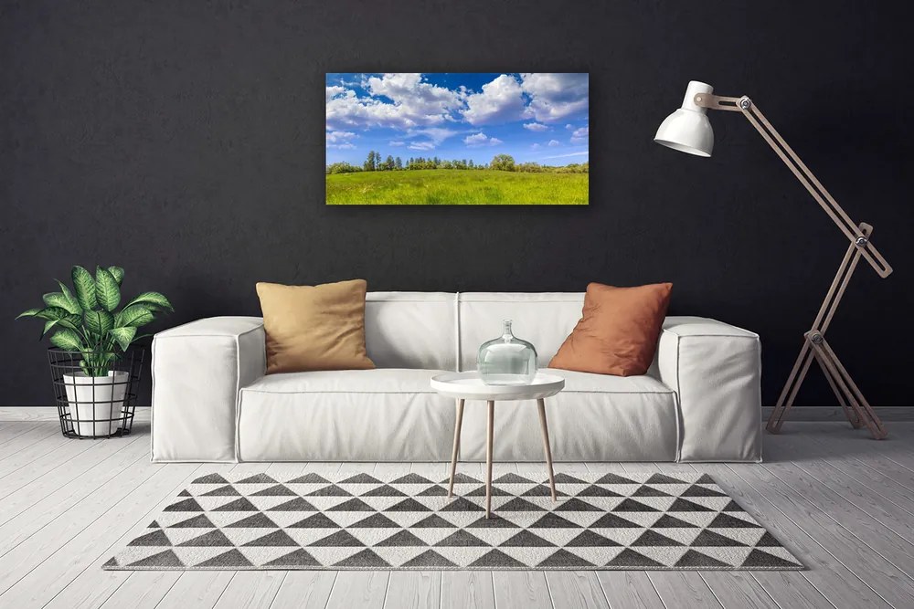 Obraz na plátně Louka Tráva Nebe Krajina 120x60 cm