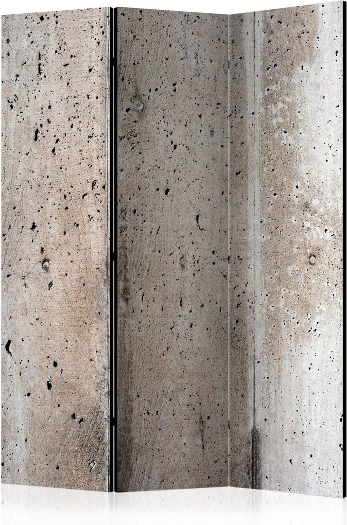 Paraván - Old Concrete [Room Dividers] 135x172