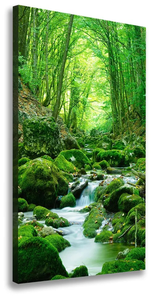 Wallmuralia Vertikální Foto obraz na plátně Potok v džungli 50x100