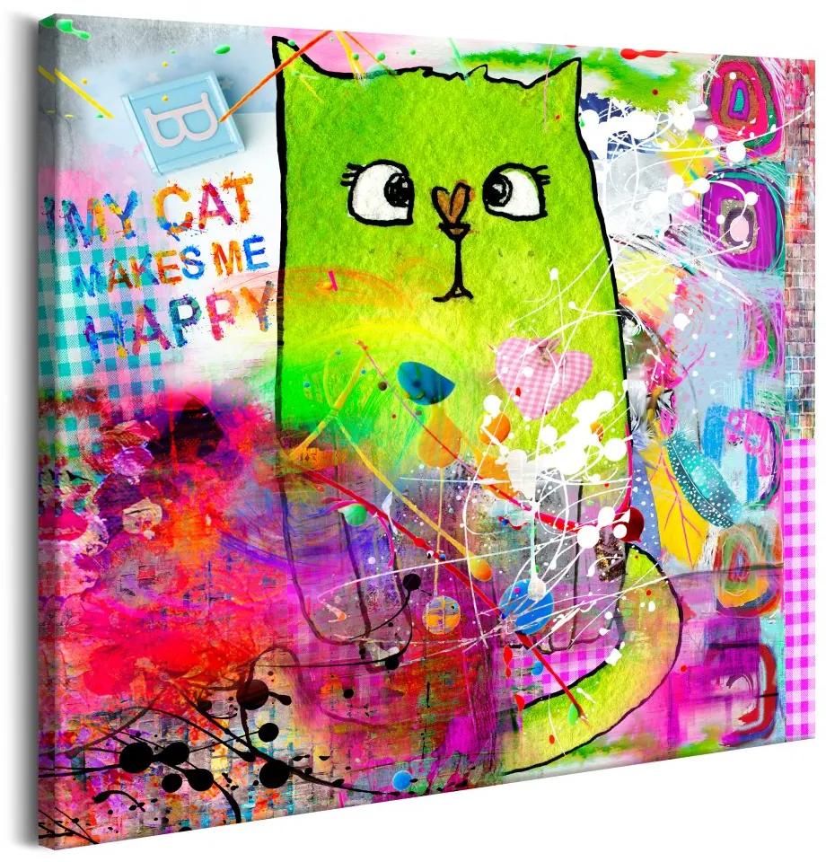 Obraz na plátně Bimago - Crazy Cat 40x40 cm