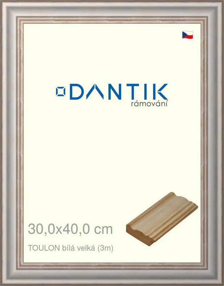 DANTIK rámeček 30x40 | TOULON bílá velká (Plexi Čiré)