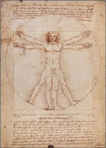 Obraz, Reprodukce - Vitruvius - Proporce lidské postavy, Leonardo Da Vinci, (60 x 80 cm)