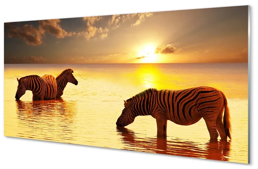 akrylový obraz Zebry voda západ slunce 140x70cm