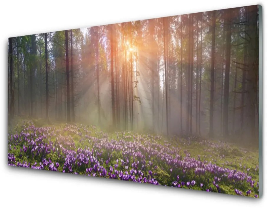 akrylový obraz Les Květiny Rostlina Příroda 140x70 cm