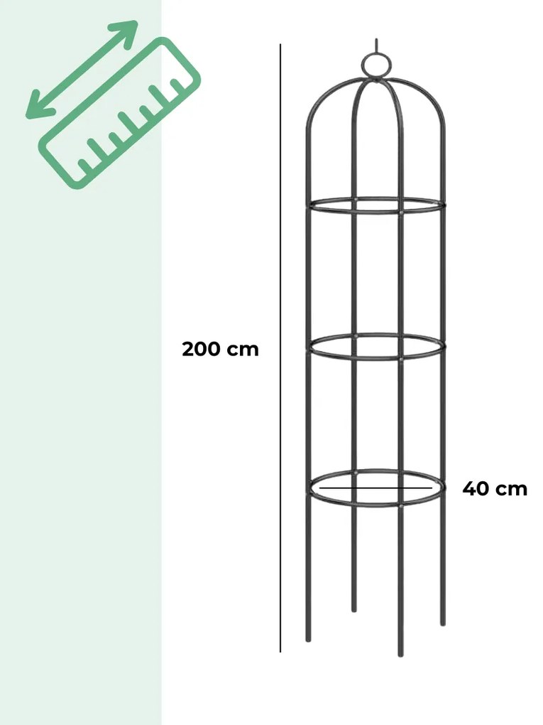 Opora na popínavé květiny 200x40 cm Gardebruk