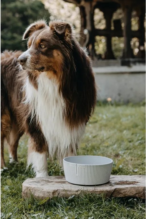 PINO PETS Miska pro psy PINO | jednobarevné provedení Seal Grey | objem 50 / 200 cl | různé velikosti Velikost: S