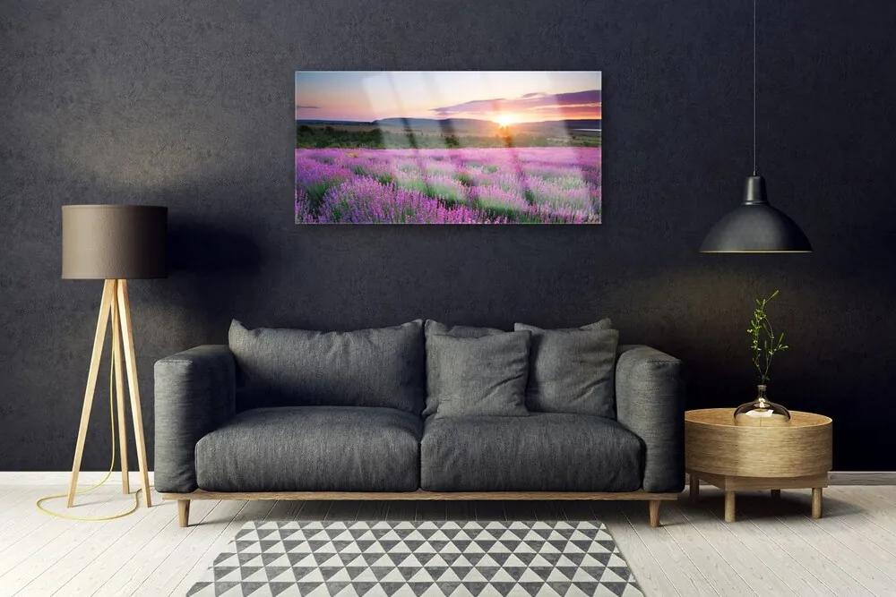 akrylový obraz Levandule Pole Louka Západ 100x50 cm