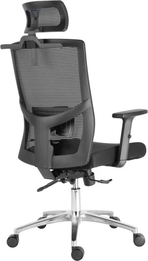 Kancelářská ergonomická židle ERGODO AVILA — černá, nosnost 150 kg
