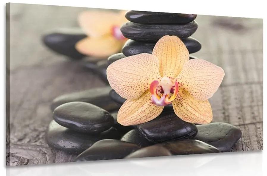 Obraz žlutá orchidej a Zen kameny Varianta: 90x60